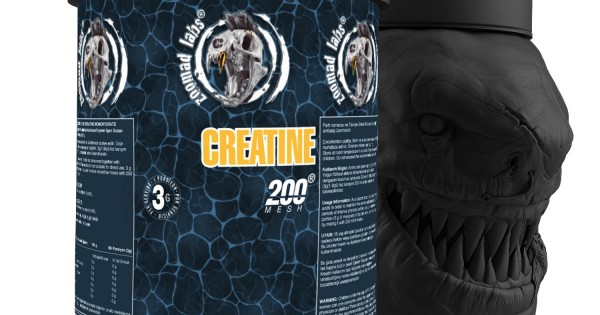 ZOOMAD LABS CREATİNE 300 GR - HRC0683